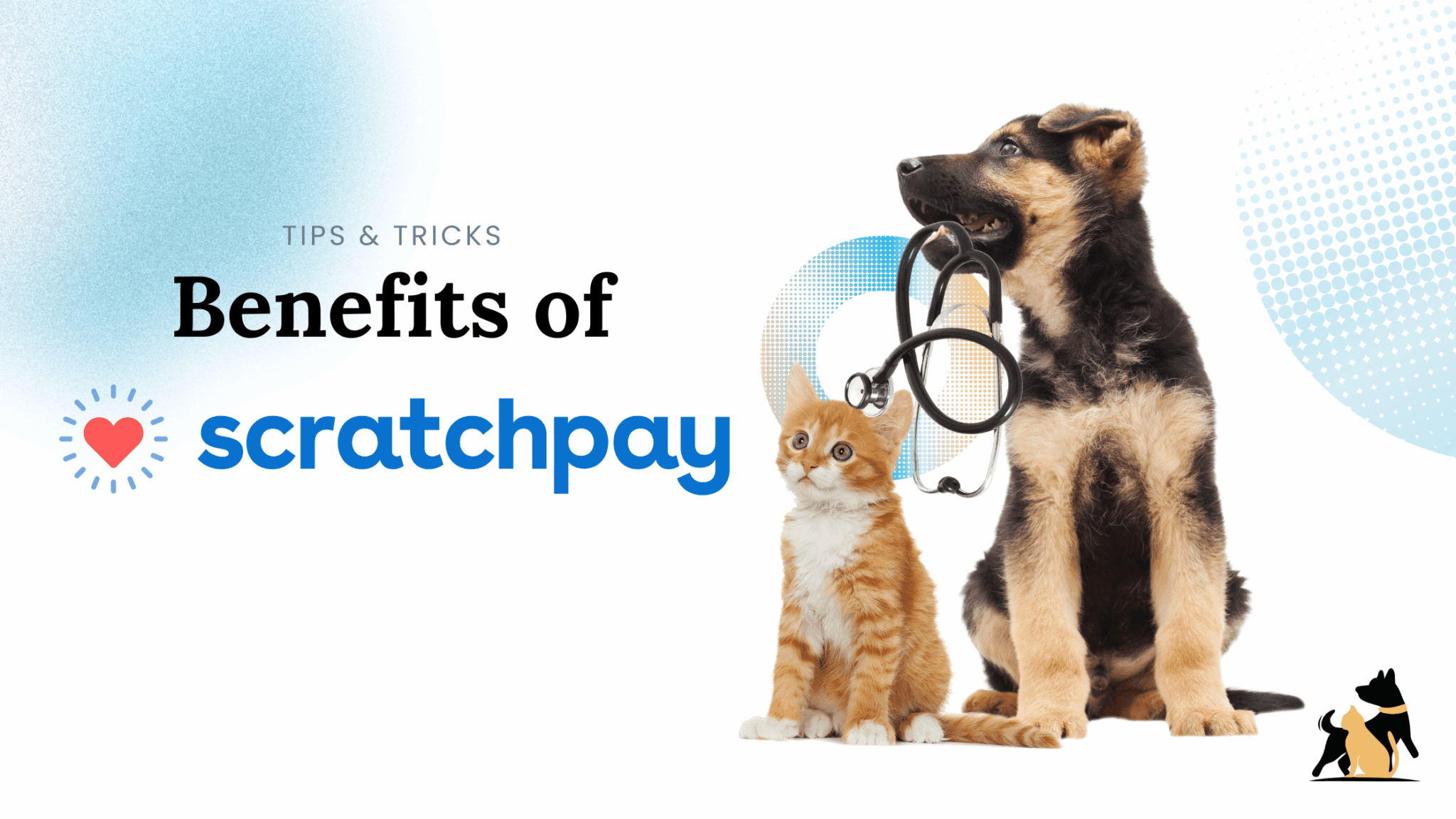 The Benefits of Scratchpay for Veterinary Care - Hometown Veterinary ...
