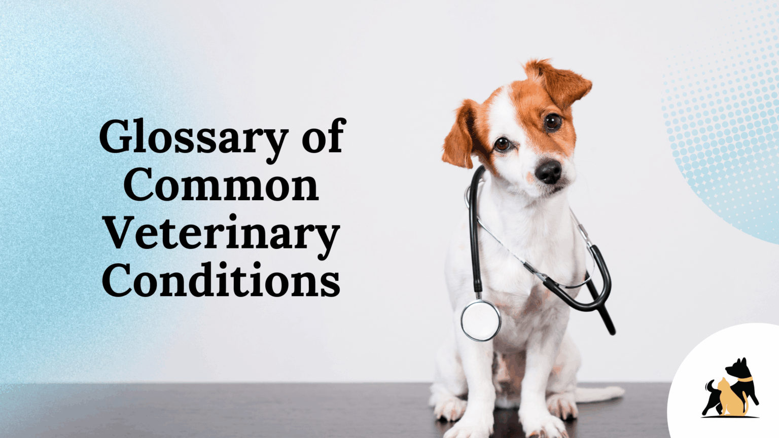 Glossary of Common Veterinary Conditions: Essential Terms Every Pet ...