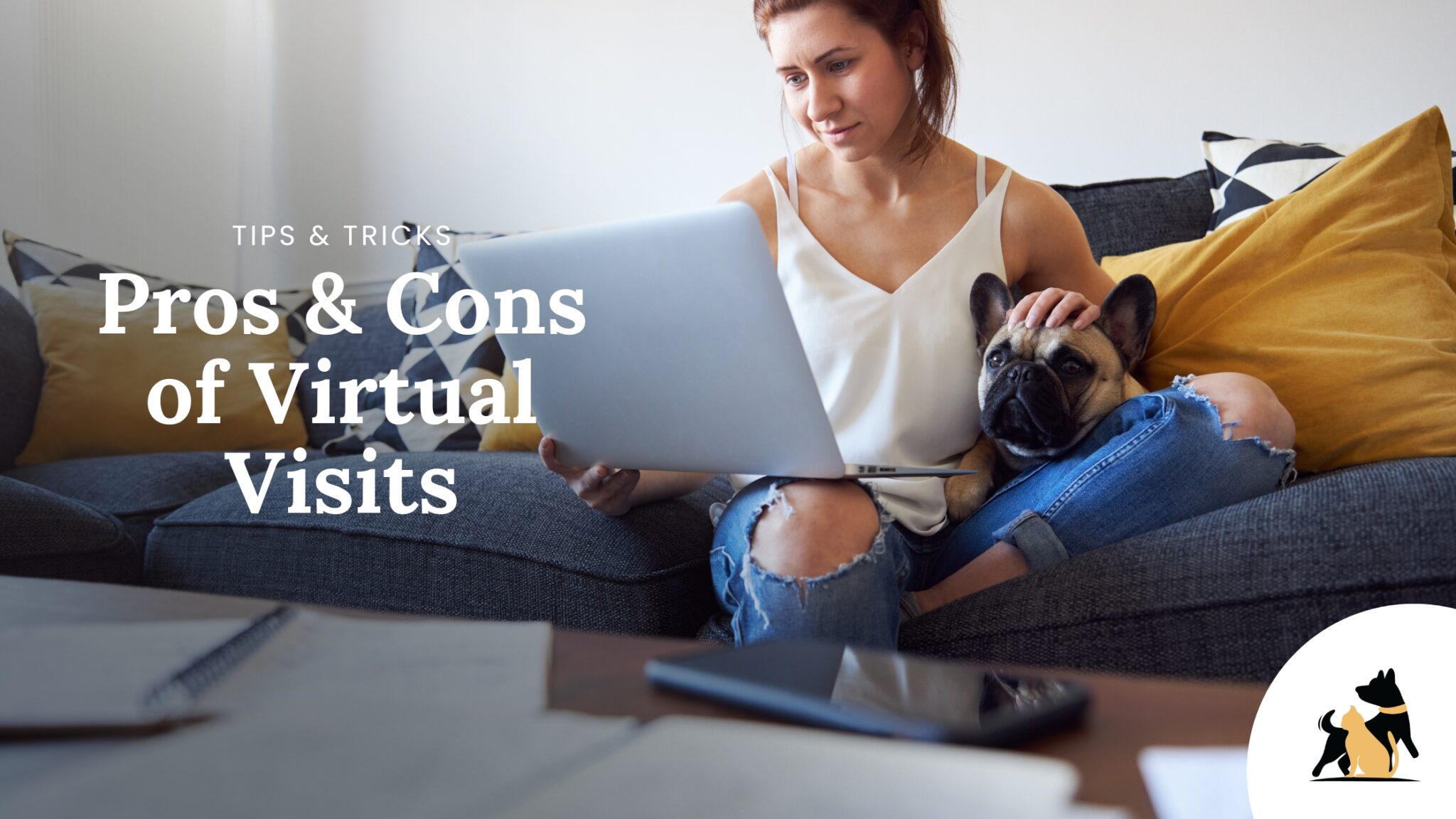 Pros and Cons of Virtual Vet Visits: Can I see the Vet Online ...