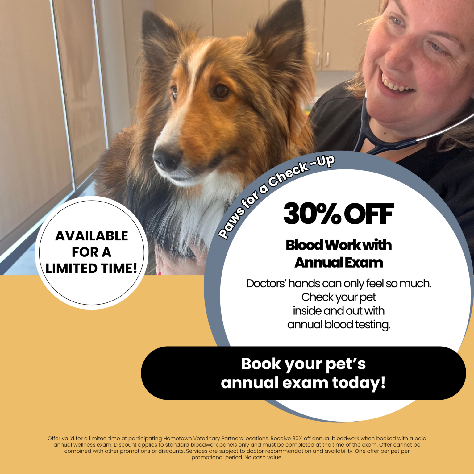 Hometown Veterinary Partners | Your Local Veterinary Practices
